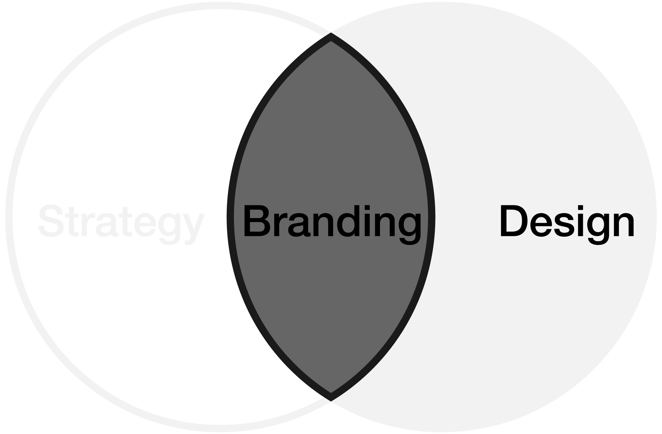 Why Studio | Brand Strategy Design Studio